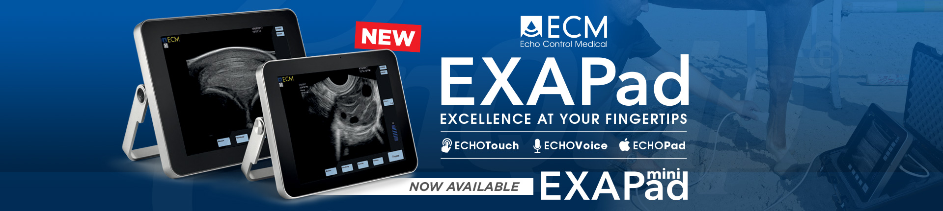 Welcome to CenQuip - Veterinary Equipment and Support