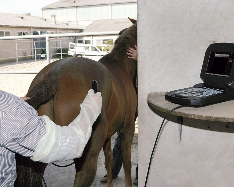 ECM Exago - Ultra Portable Ultrasound Unit | CenQuip